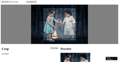 react cropper demo codesandbox