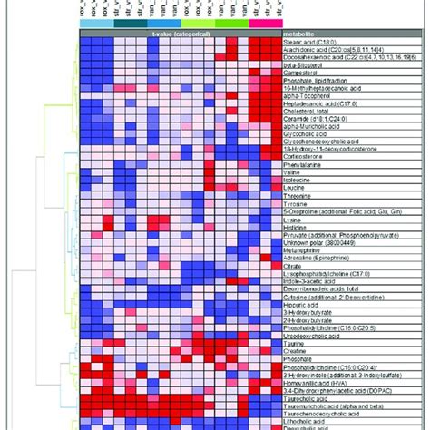 Hierarchical Clustering Analysis Hca Of Plasma Metabolic Profiles Of