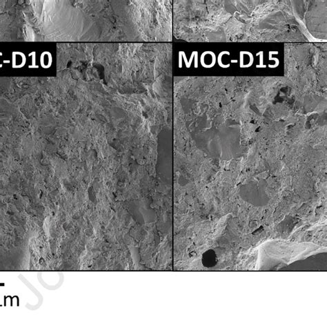 Sem Micrographs Of Moc Ref Moc D5 Moc D10 And Moc D15 Obtained At