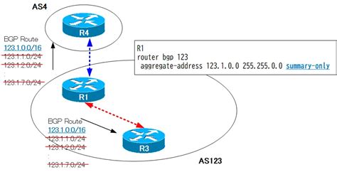 aggregte address command summary only opiton how the bgp works n