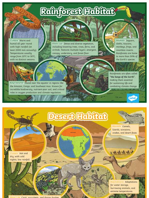 Za Nst 1737969519 Animal Habitats Poster Project Exploring Habitats Ver 1 Pdf Rainforest