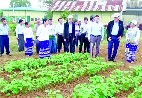 အကြံပေးပုဂ္ဂိုလ် ခန့်အပ်တာဝန်ပေးအပ်ခြင်း Ministry Of Information