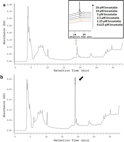 Hplc Chromatograms Using Uv Detection At λ 240 Nm A Ten