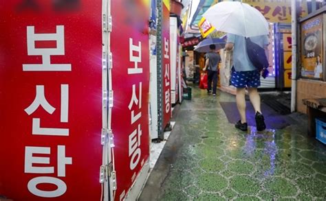 이제 3년 뒤엔 개고기 먹는 것 자체가 ‘불법 된다