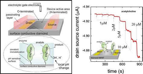 Diamond Solution‐gated Field Effect Transistors Properties And Bioelectronic Applications