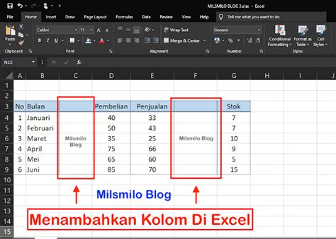 Cara Menambah Kolom Dan Baris Di Excel Milsmilo Blog