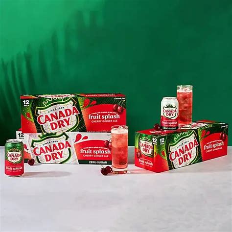 Canada Dry Fruit Splash Zero Sugar 12 Fl Oz 355ml Case 12count