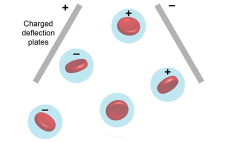 What Is Flow Cytometry Coherent