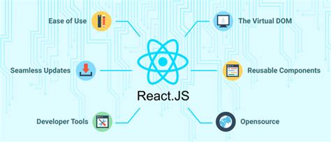 why we use react js in website development process by shakun grover