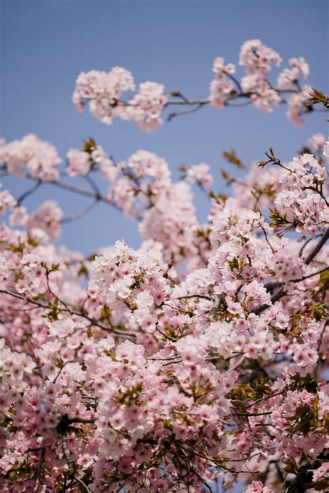 요며칠의 아무사진들 실시간 베스트 갤러리