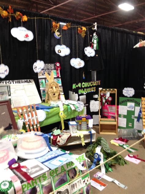 Nova Scotia 4 H Life Skills Projects 2014