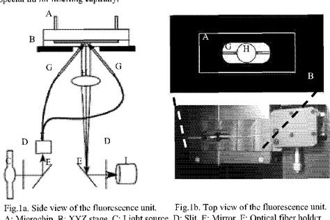 Figure 1 From Development Of A Reflected Light Fluorescence Unit For