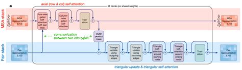 Alphafold2 Explained