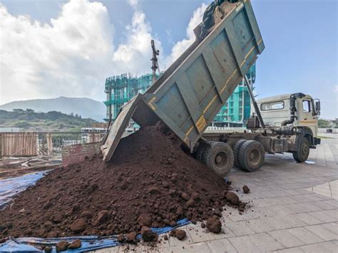 Mayur Salunkhe On Linkedin Landscaping Projectcompletion Teameffort Gardening