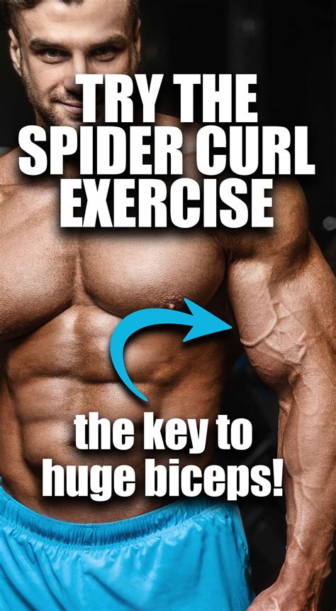 Best 11 4 Best Spider Curls Form Tips To Build Bigger Biceps Artofit