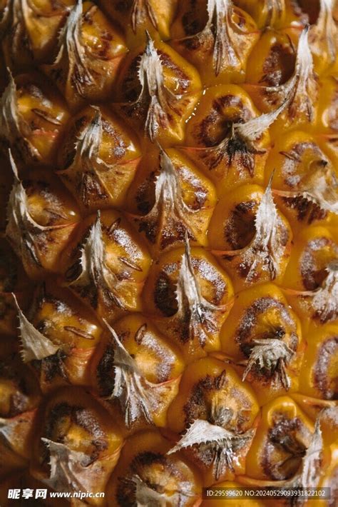 凤梨 摄影图水果生物世界摄影图库昵图网