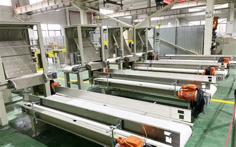 Industrial Packaging Palletizing Solution Solution Pack