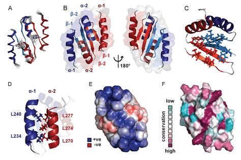 Figures And Data In The Structural Basis For Dynamic Dna Binding And Bridging Interactions Which