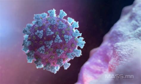 Коронавирус халдвар Хүүхдэд илрэх нийтлэг шинж тэмдэг