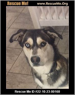 North Dakota Mutt Rescue Adoptions Rescue Me