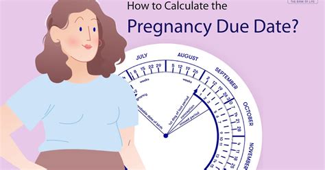 How To Calculate The Pregnancy Due Date