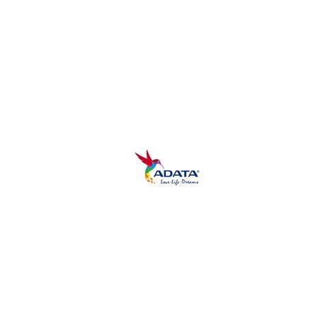 Manual De Usuario Adata Xpg Ddr4 3200 3 Páginas