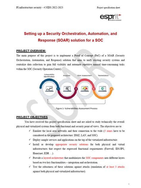 pi security project specification sheet pdf