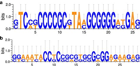 direct repeat conservation in a type i e and b type i e crispr
