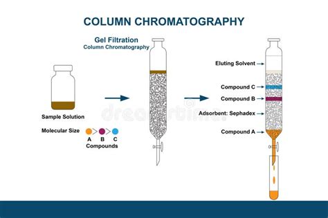 Column Chromatography Animation
