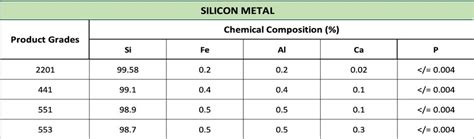 Silicon Metal Amps Globtek