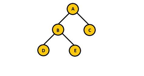 Traversal Algorithms In Java And Python With Code