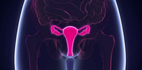 Uterine Sarcoma Symptoms Causes And Treatments