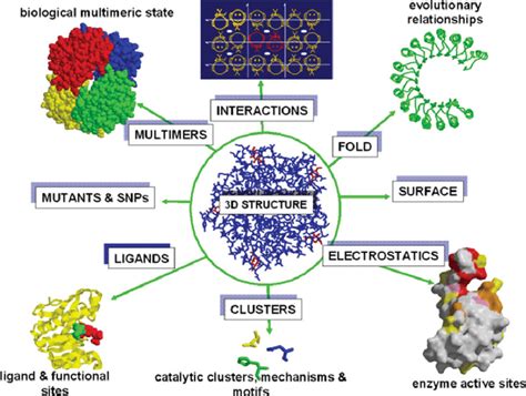 The Prediction Of Function From Structure Download Scientific Diagram