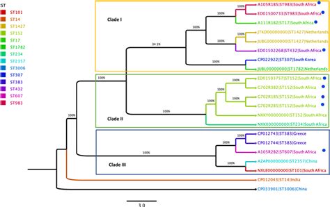 phylogeny based on core genome multilocus sequence typing genes of 21