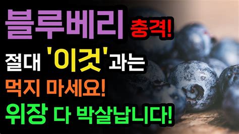 블루베리 이것과 함께 먹지 마세요 위장 박살납니다 블루베리 가장 건강하게 먹는 방법 블루베리 이렇게 먹어야 20년 회춘합니다 Youtube