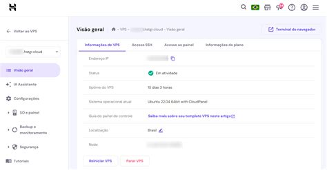 Servidor Vps Hostinger Review Completo 2024