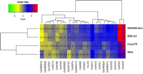 The Hierarchical Cluster Heat Map Of The Differential Relative
