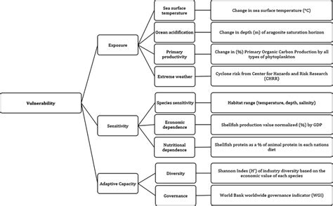 Schematic Representation Of The Vulnerability Assessment Model Download Scientific Diagram