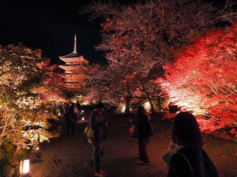 Toji Temple Must See Access Hours And Price Good Luck Trip