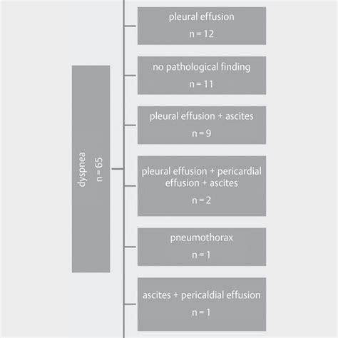 Pathological Findings Detected By Hh Pocus Scans Performed By Download Scientific Diagram
