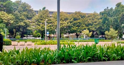 Outing Class Outing Class