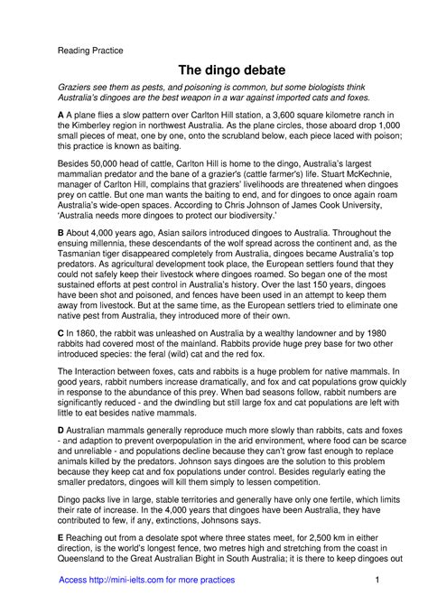Document Summary Digital Marketing 2 Reading Practice The Dingo