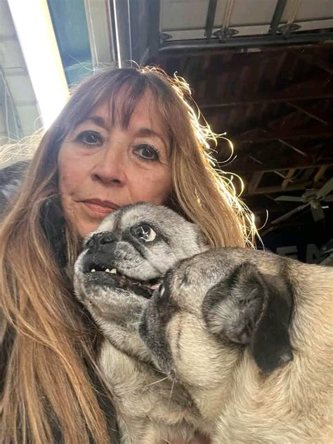 I Love Pugs I Am Leaving The Group My 17 Year Old Crossed Over The