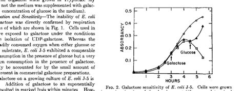 Galactose And Glucose Utilization By The Wild And Mutant Strains Of E Download Scientific