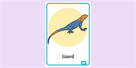Lizard Display Poster Primary Resources