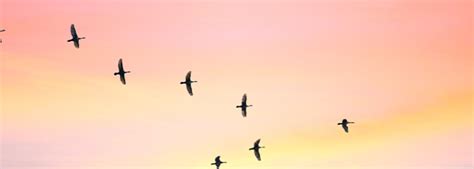 How Mulesoft Integrates Salesforces Cdp With External Customer Data Sources Mulesoft Blog