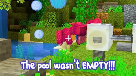 Getting Married To Aphmau In Minecraft Getting Married To Aphmau In Minecraft By