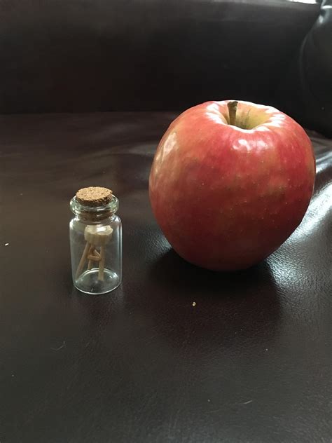 Stool Sample Album On Imgur