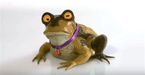 All Hail The Hypnotoad Album On Imgur