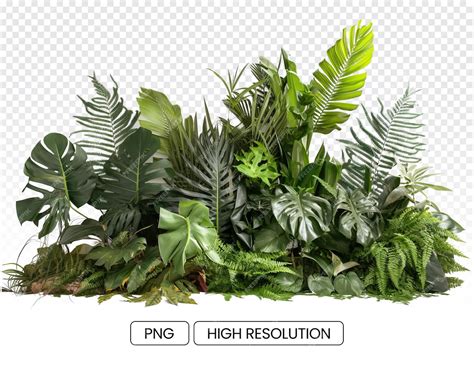 Premium Psd A Detailed Picture Of A Tropical Plant Grouping With A